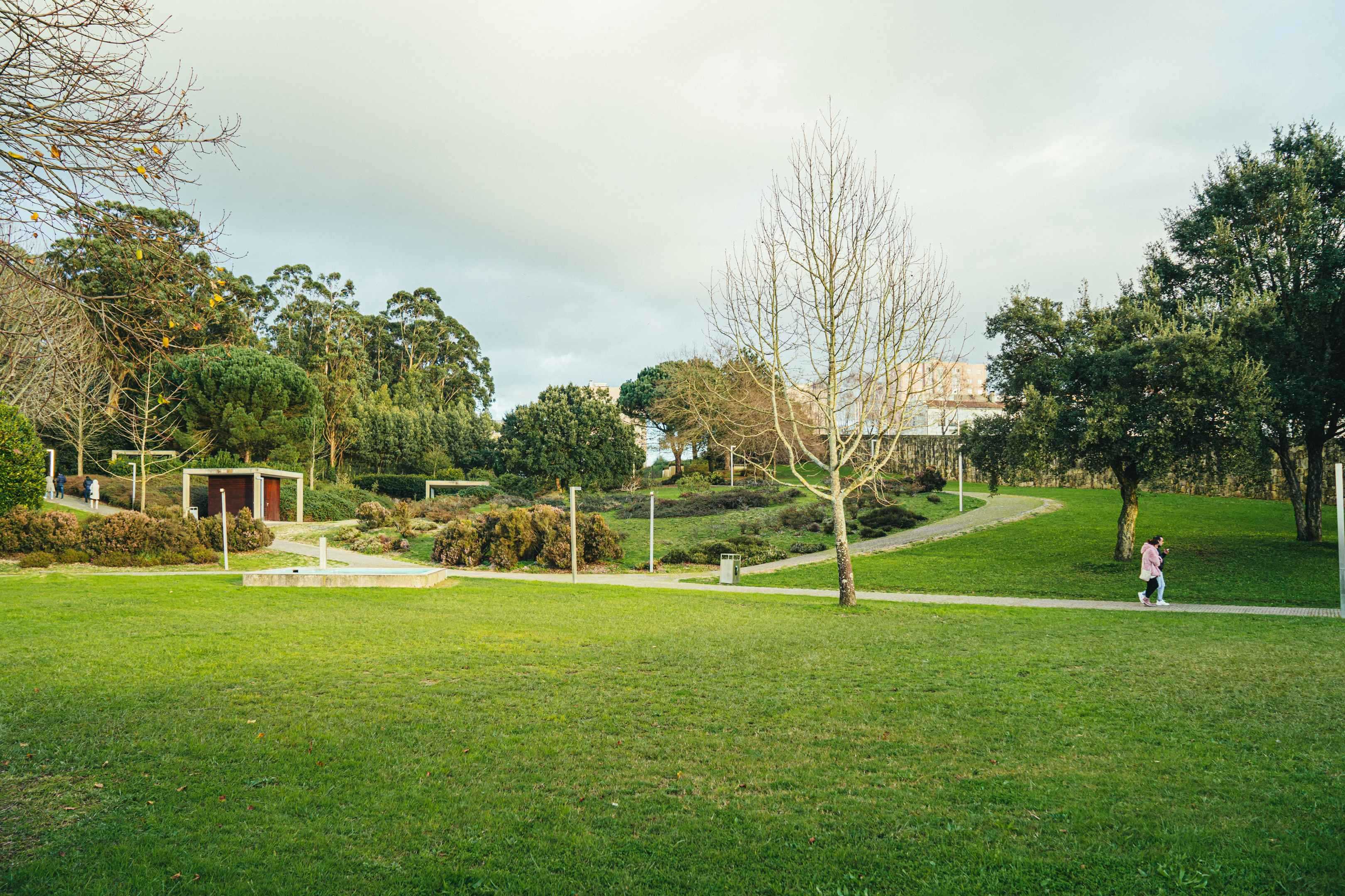 Rota das Árvores e Jardins na Maia | 18 outubro 2025